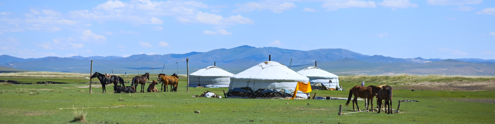 Interesting facts to know before you visit Mongolia